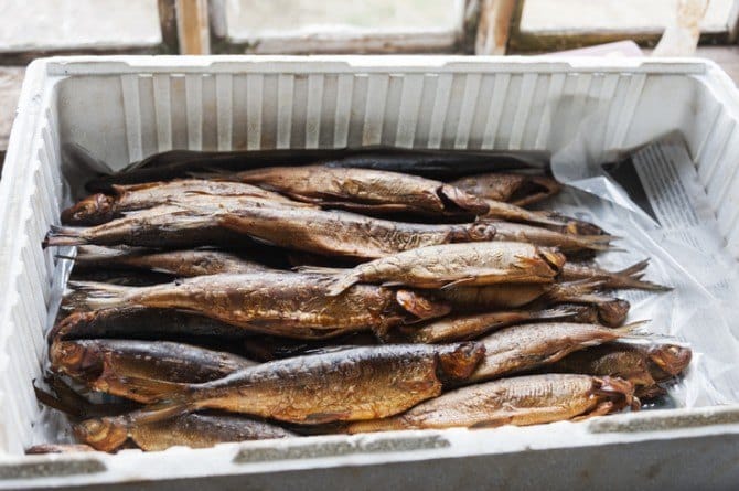 Fishermen life on Maakalla Island - The Crowded Planet