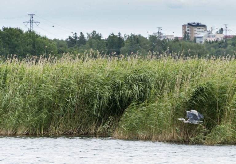 Helsinki Islands - Explore Nature in the Finnish Capital