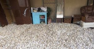 Dungan People in Kyrgyzstan - Culture and Cuisine