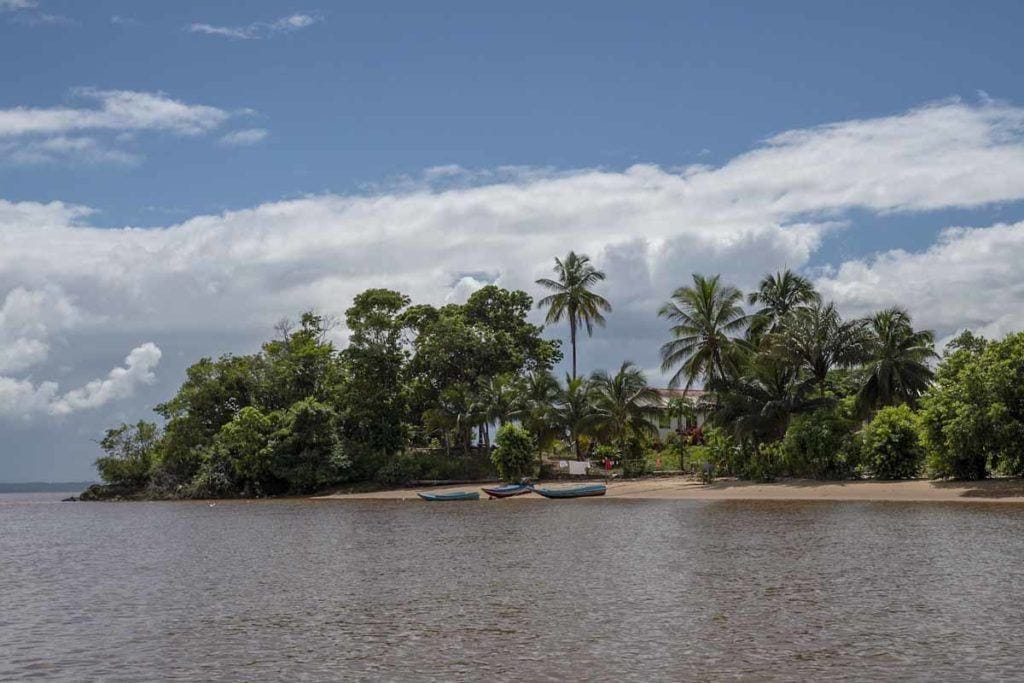 A Day on the Essequibo River, Guyana - The Crowded Planet